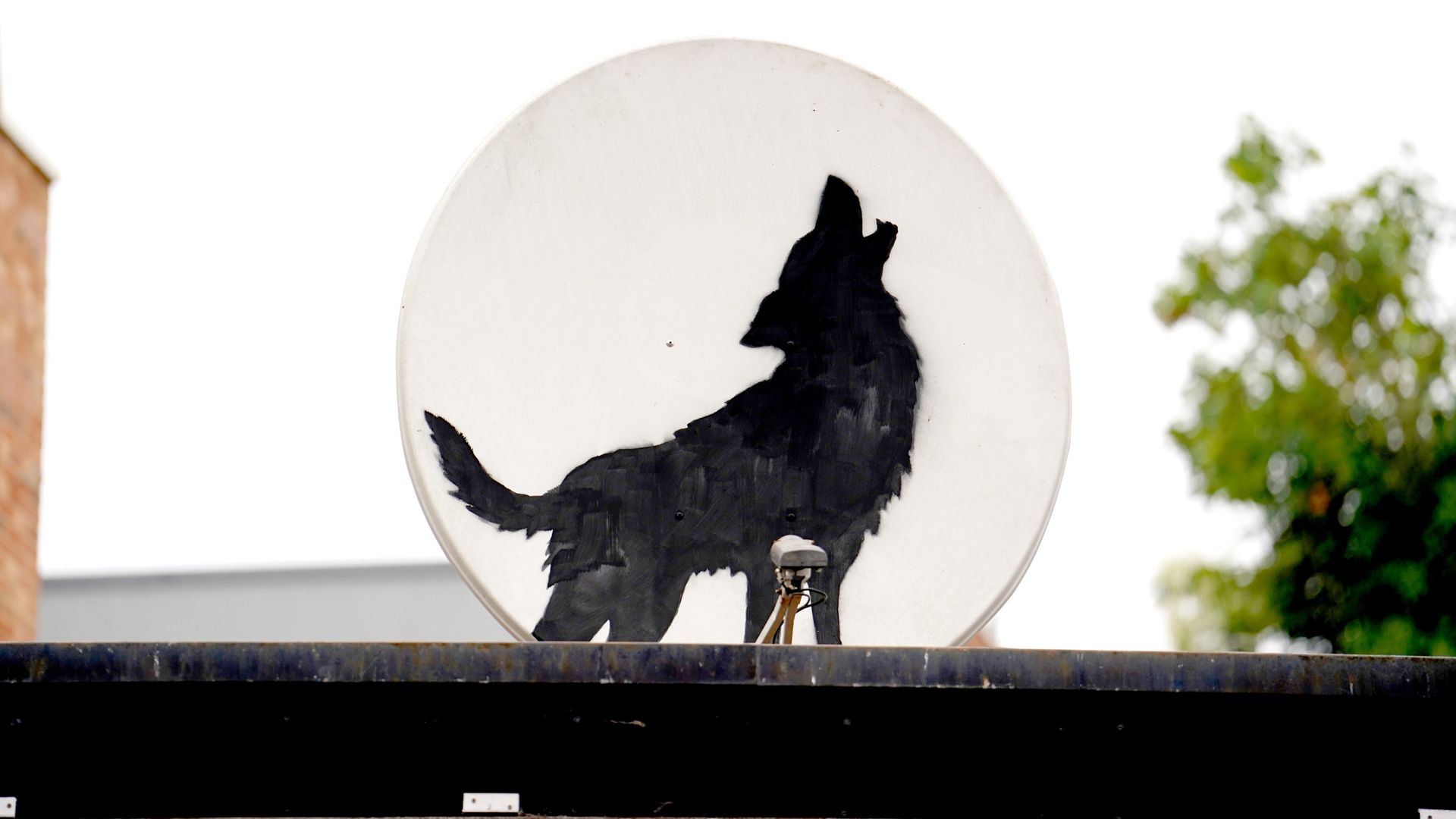 Banksy reveals fourth animal artwork in four days