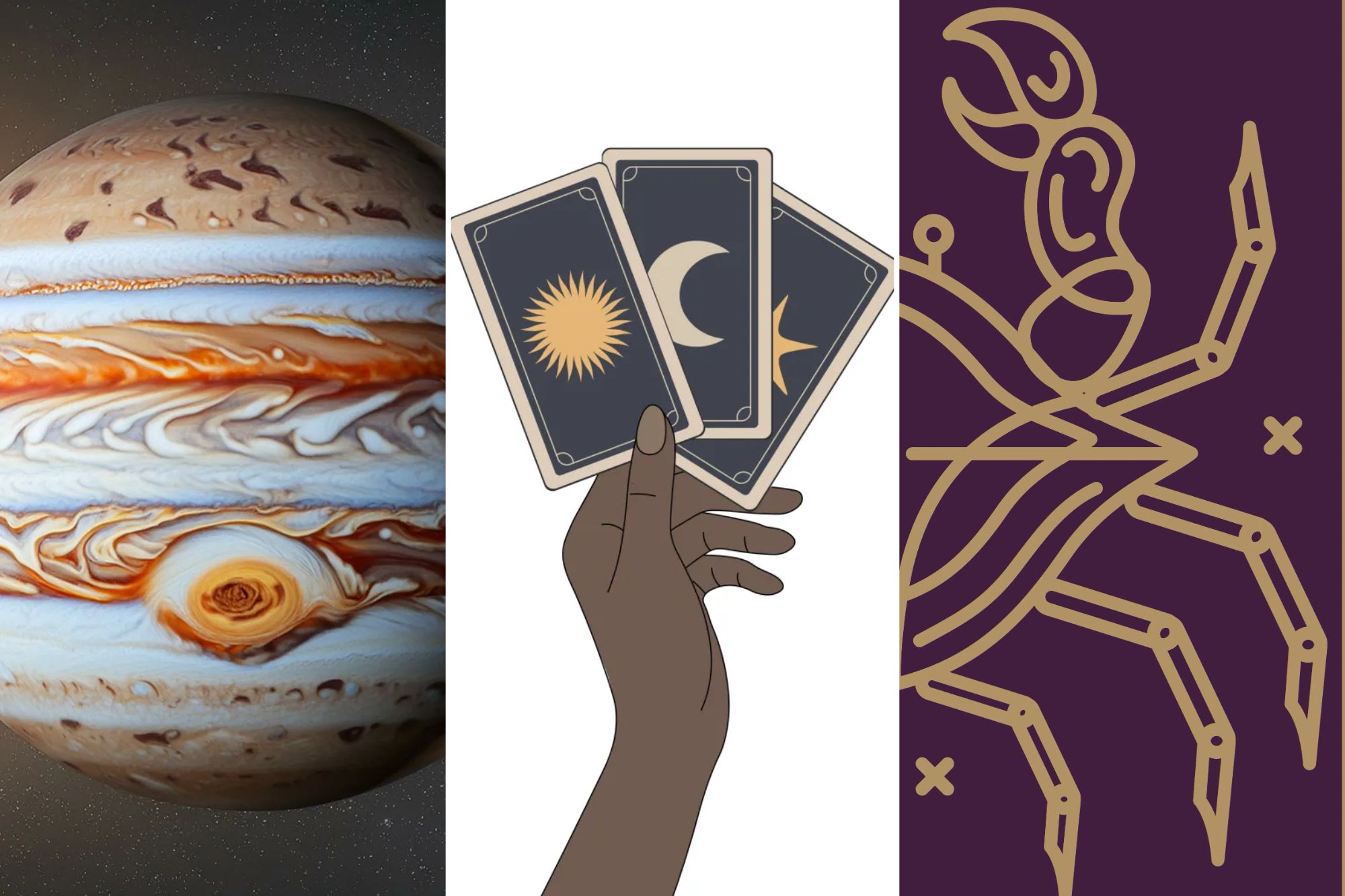 Tarot readings for each sign during Jupiter retrograde in Cancer