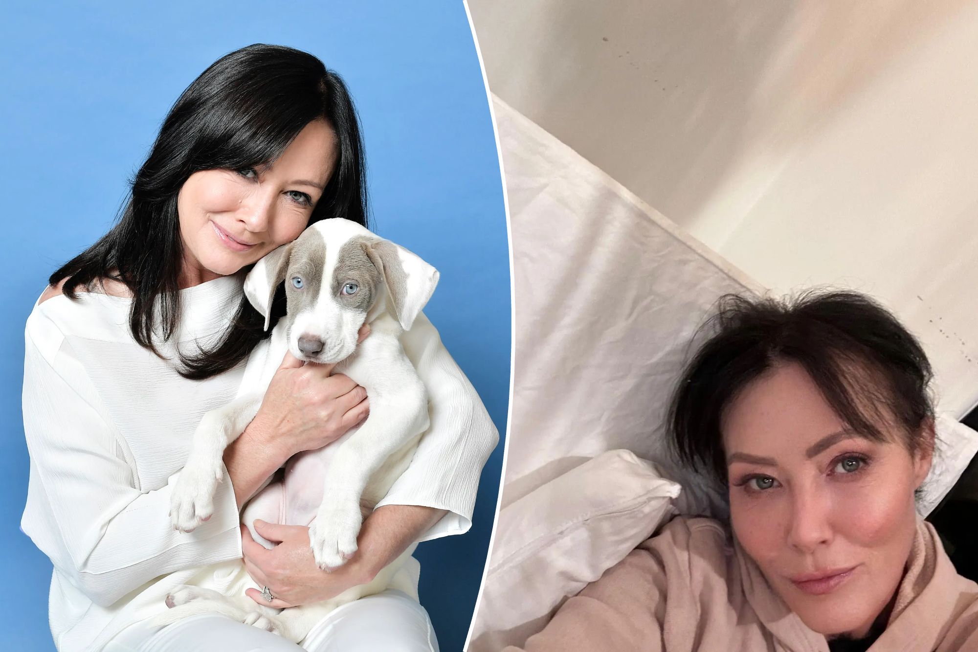 Shannen Doherty wants her ashes ‘mixed’ with her dog and dad’s remains ...