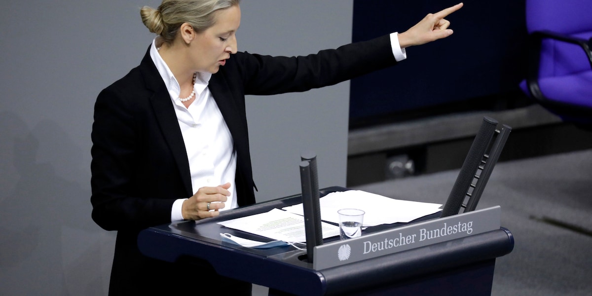 IW-Experte über AfD - „Wir haben nicht 1932, Alice Weidel ist nicht ...