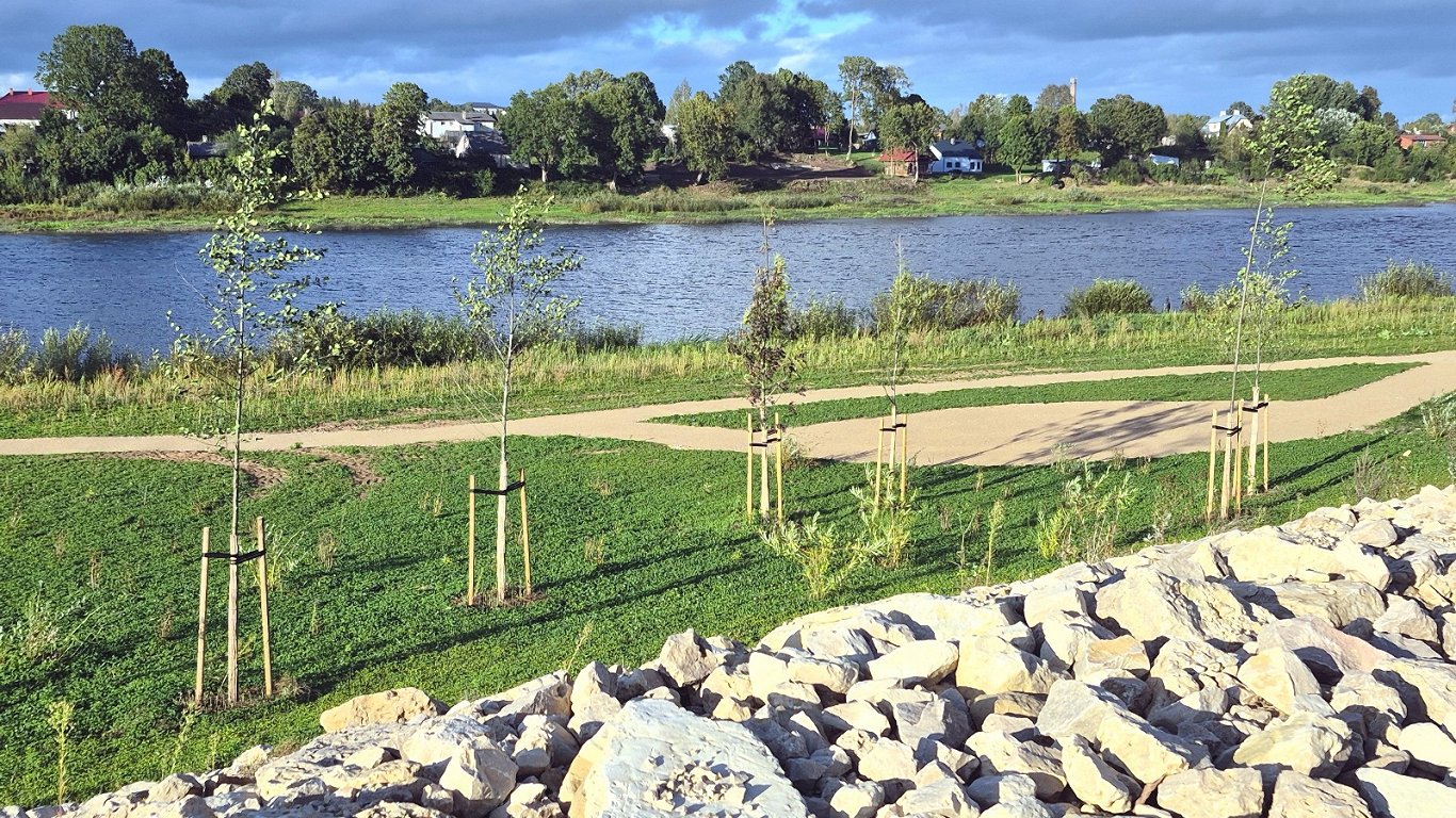 Newly-planted trees are foredoomed, predict people of Jēkabpils