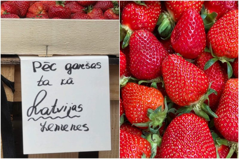 Tā, lūk! “Šī bilde no Nakts tirgus par mārketingu iemācīs vairāk nekā 4 ...