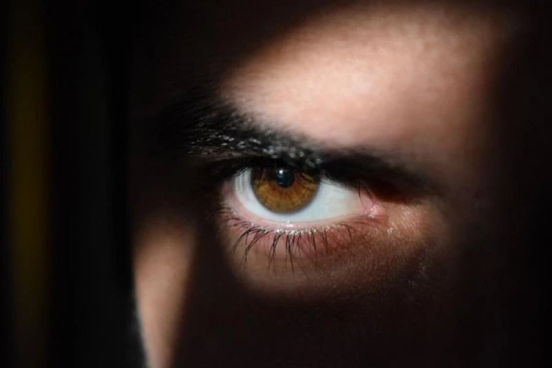 Spies, just spies everywhere... Which countries did agents work for in ...