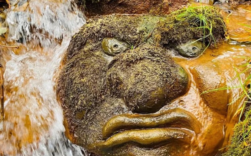 FOTO: iedzīvotājus Cēsu pusē pārsteidz savāds veidojums upes krastā