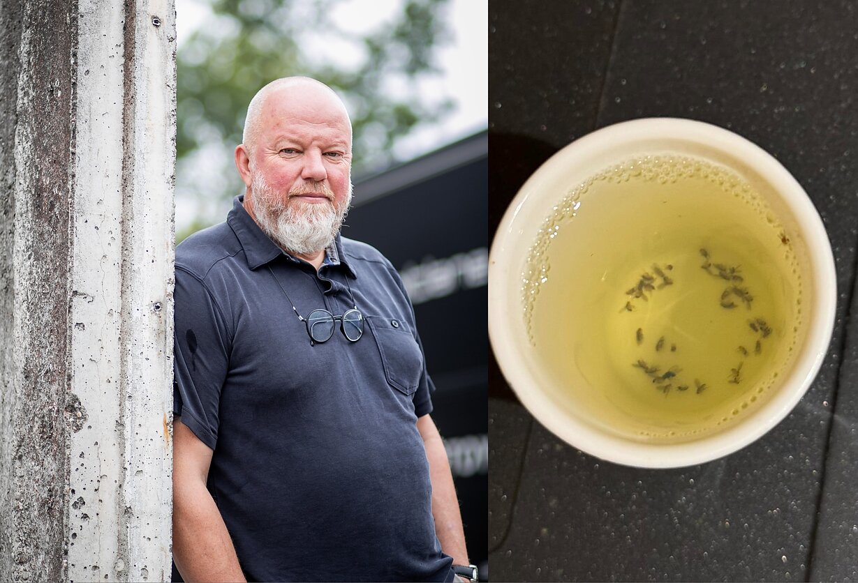 Vytaras Radzevičius pasidalijo receptu, kaip jis atsikrato vaisinių muselių