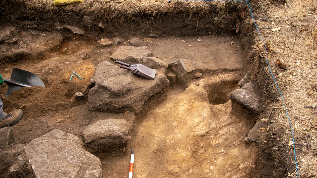 Hallan una nueva especie de Australopithecus que coexistió con los ...