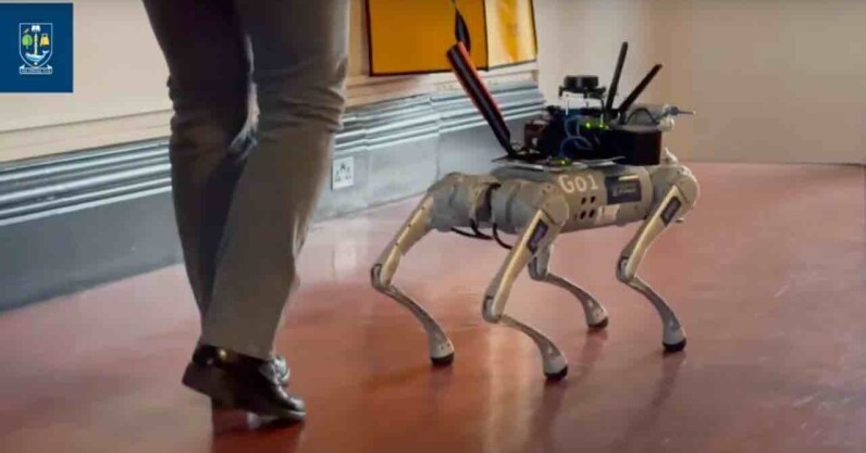 New robot guide dog shows not only human jobs are threatened by AI