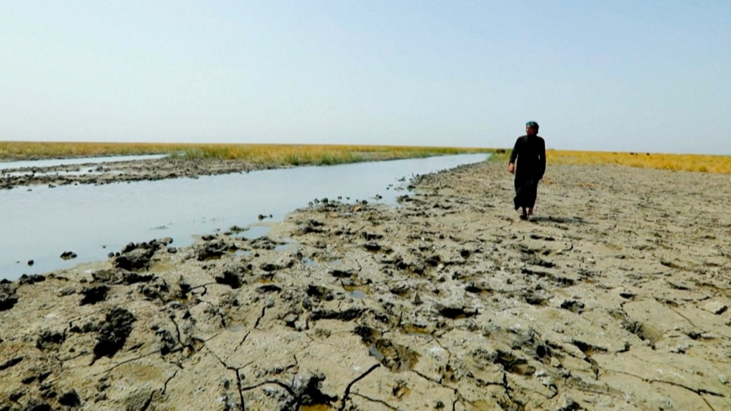 Iraq: Drought threatens herders’ millennia-old way of life