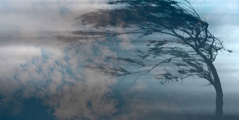 Indeed! Strong winds will hit Latvia on Monday - meteorologists warned ...